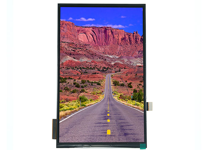 Z90018 High Definition 9 Inch 800*1280 LCD Display TFT 30PIN MIPI ...